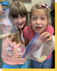 Camps – The Science Seed